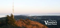 Victoria's Mount Doug Park | Victoria's Best Places