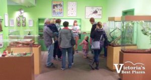 Victoria Bug Zoo | Victoria's Best Places