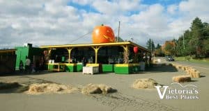 Galey Farms in Victoria | Victoria's Best Places